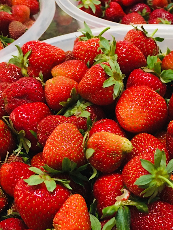 Jam Season | springdalegarden